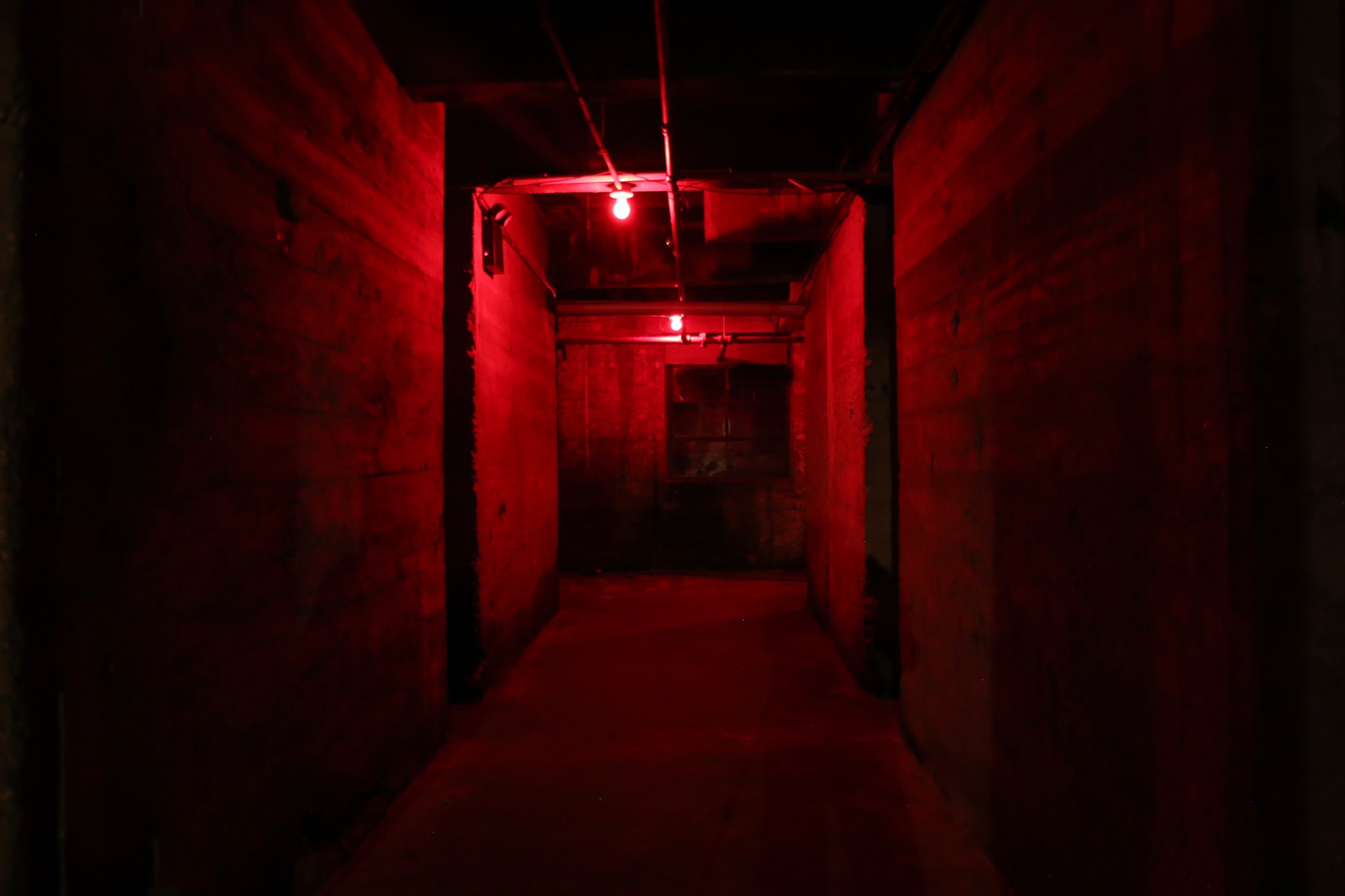 Basement Club Review: Techno Club in Queens - Discotech - The #1 ...